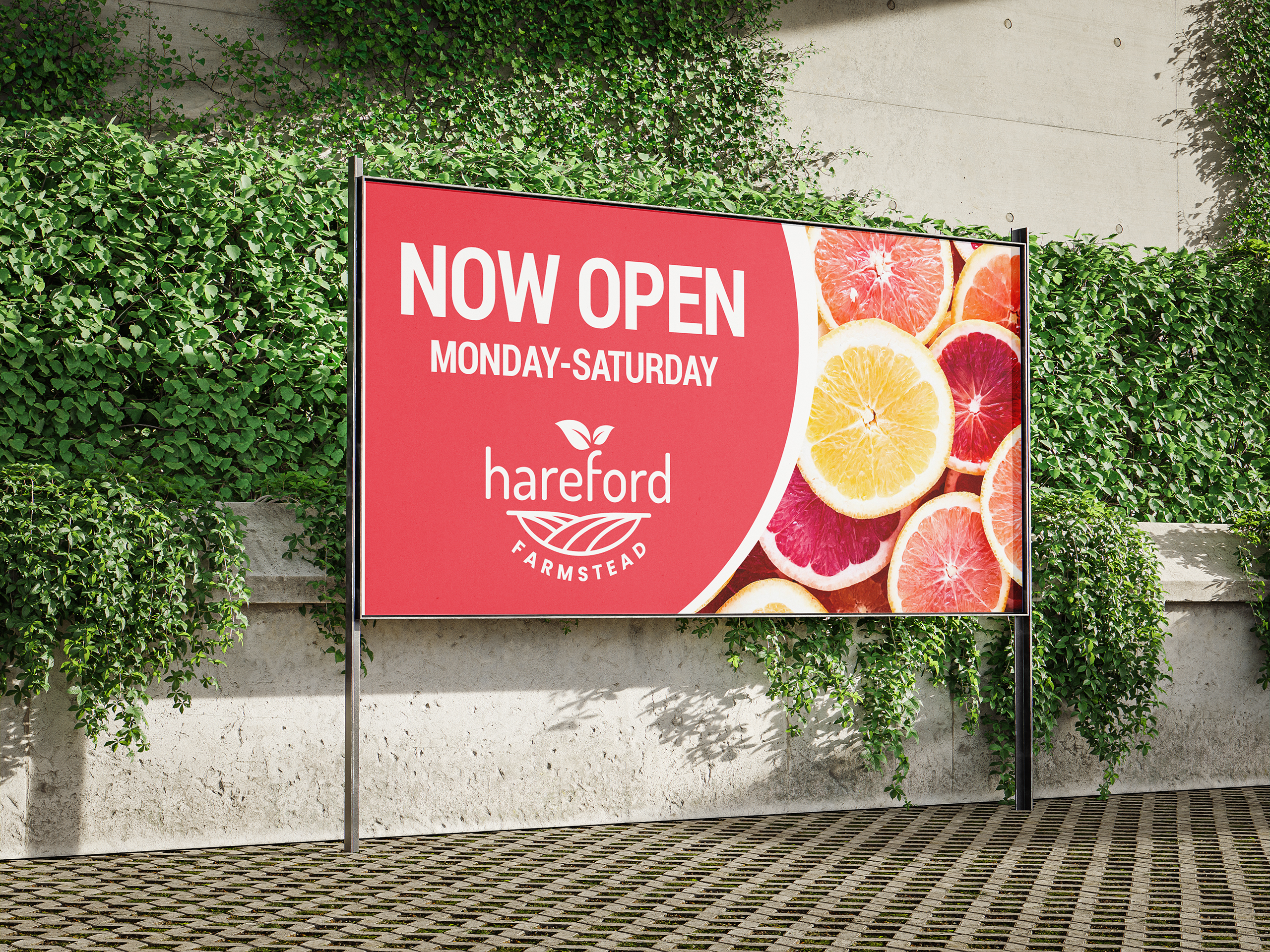Get Noticed with Tailor-Made Custom Signs
